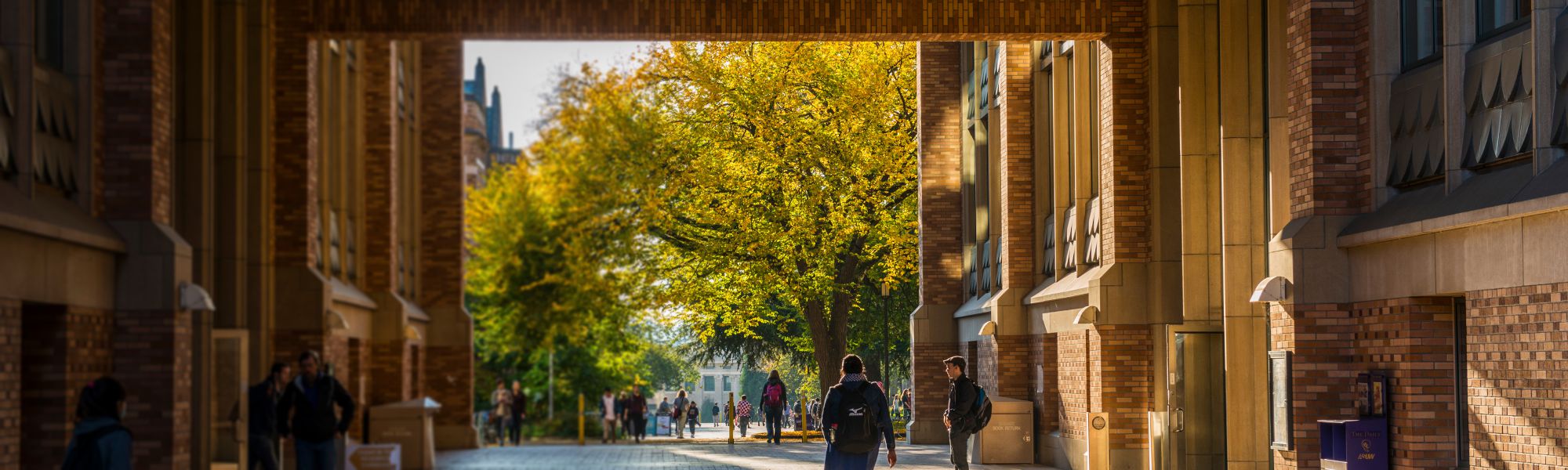Online Master of Public Health - UW Professional & Continuing Education